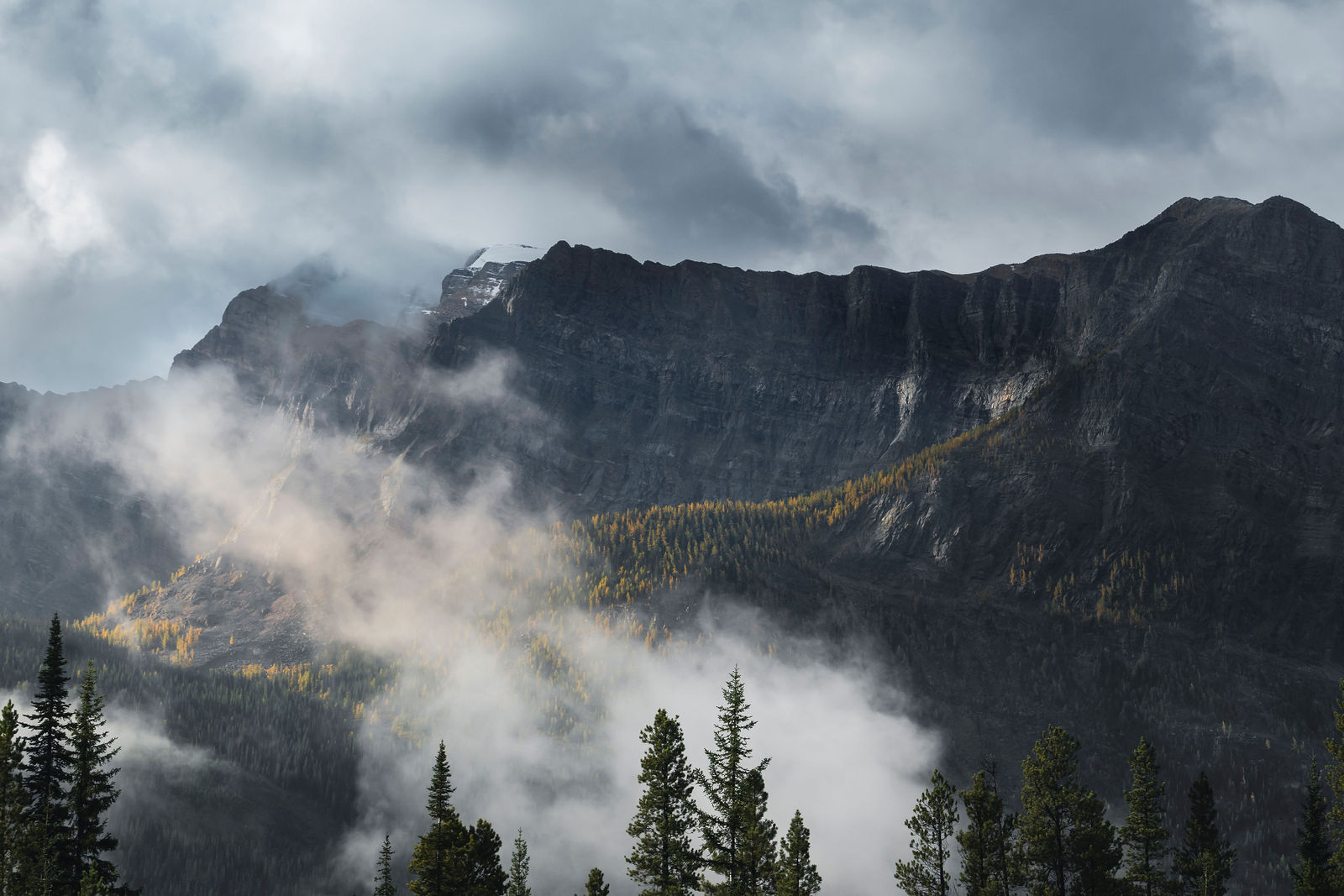 A Practical Guide on Carbon Accounting | Sumday